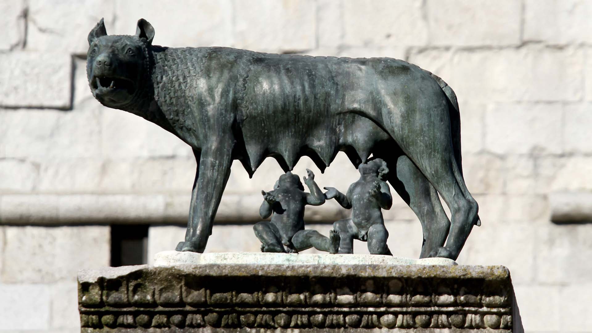 Chi era la lupa di Romolo e Remo? - iStorica.it